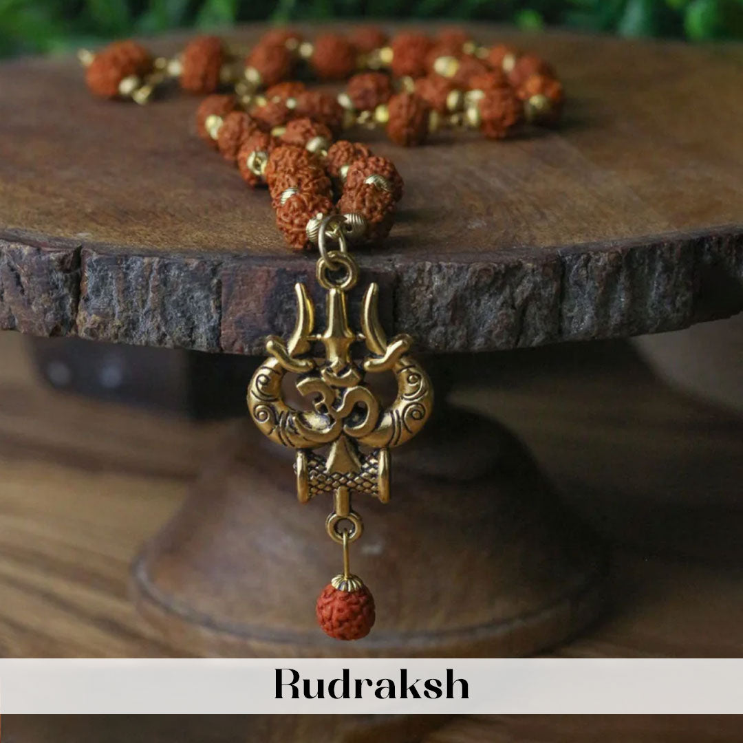 Rudraksh – sanatansevasanstan